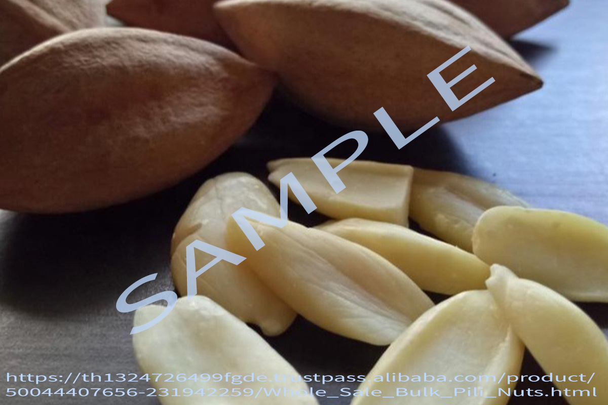 Morphological Characteristics of Pili